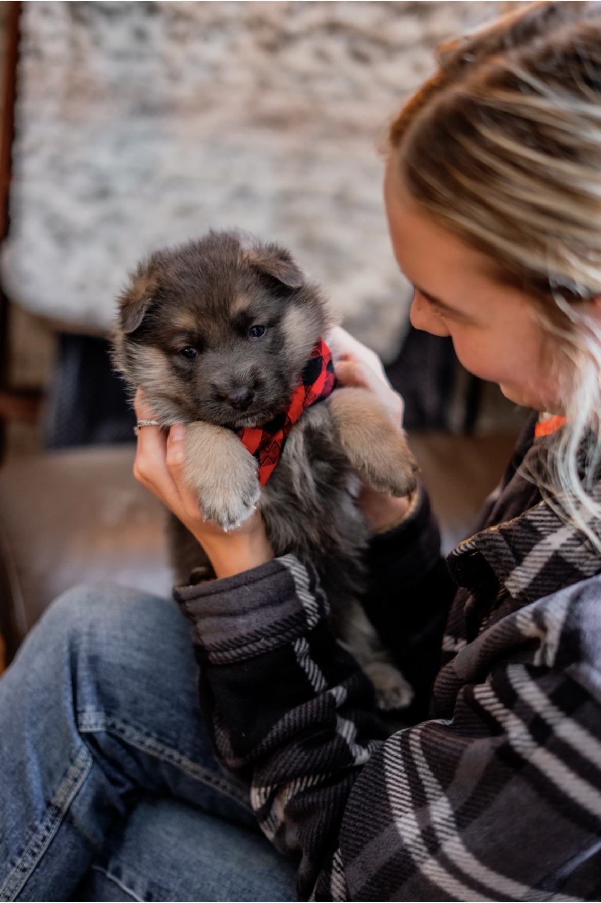 West Meadow Shepherds – CKC Registered German Shepherd Breeder in ...